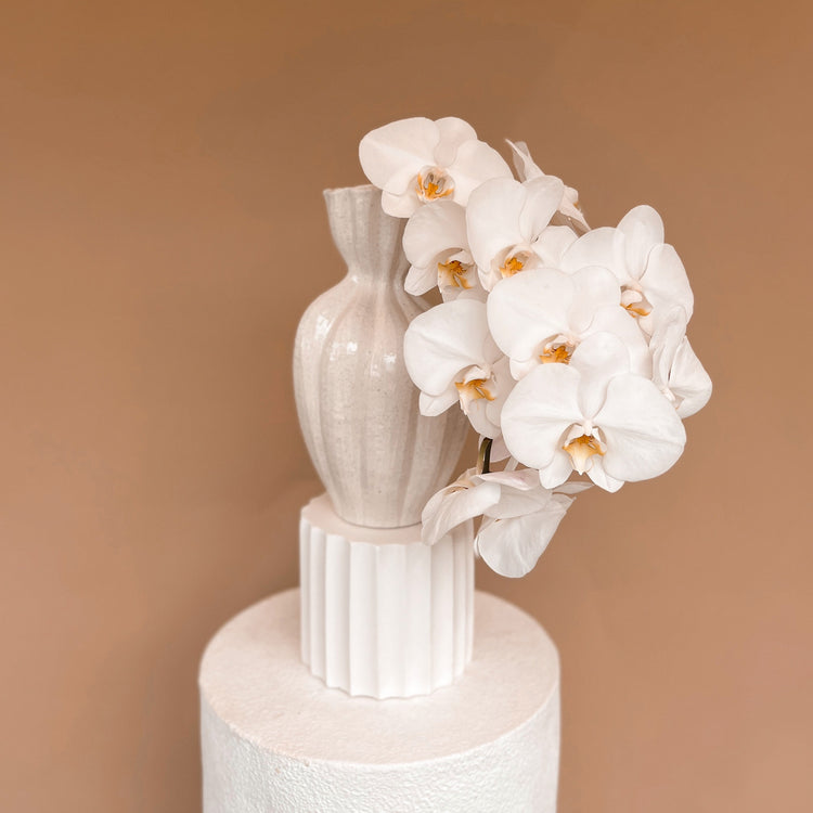 Freshwater Events Flowers Online Sydney | Wild Forager Australia – WILD ...