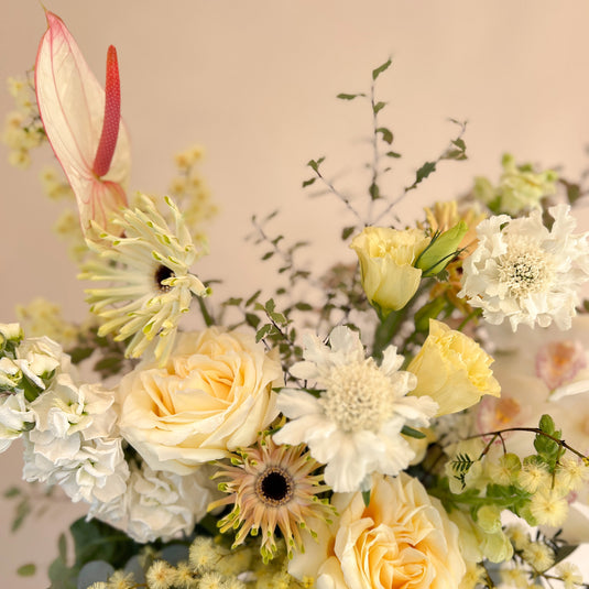 Freshwater Events Flowers Online Sydney | Wild Forager Australia – WILD ...