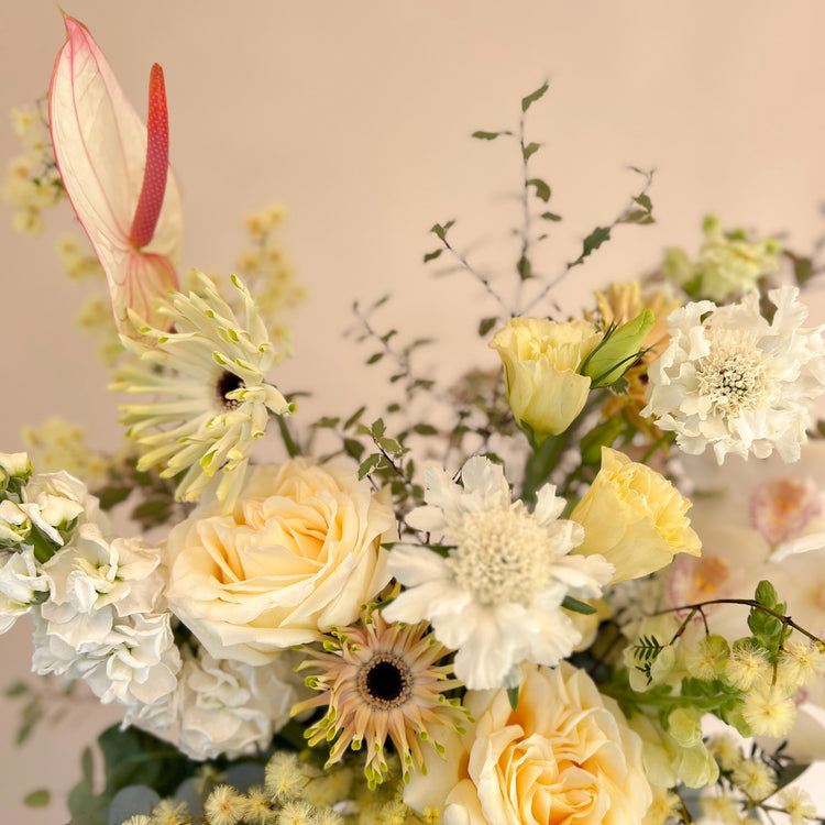 Freshwater Events Flowers Online Sydney | Wild Forager Australia – WILD ...