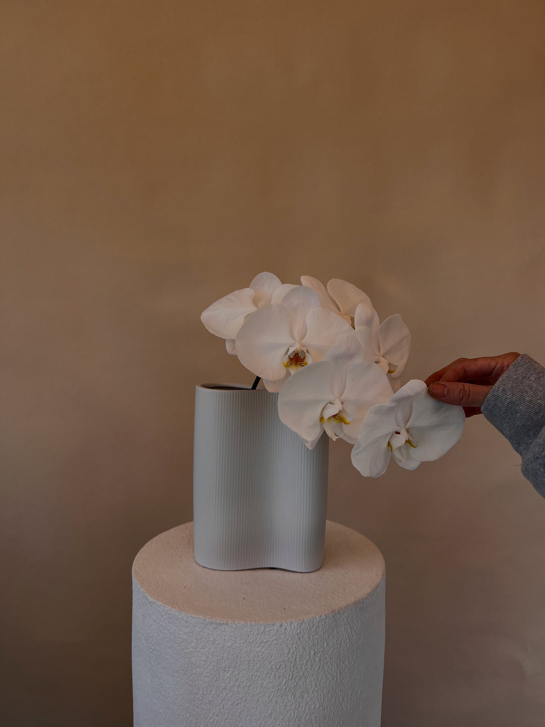 Freshwater Events Flowers Online Sydney | Wild Forager Australia – WILD ...